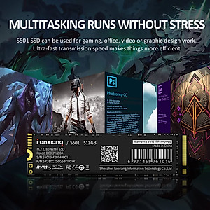 fanxiang S501 512GB NVMe SSD 3D NAND1.3 PCIe Gen3x4 M.2 2280 Internal Solid State Drive (Read/Write Speed up to 2,150/1,600 MB/s) Compatible with Laptop & PC Desktop