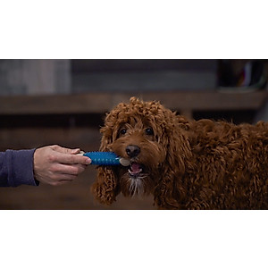 HERO | Bonetics Dental Bone | Dog Bones | Puppy Bones | Designed for Medium Dogs Up to 45 lbs (Mint Flavor)