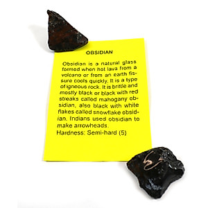 hBARSCI Premium Mineral Collection with 15 Identified Specimens and 4.5X Hand Lens