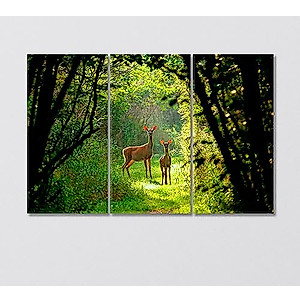 White Tailed Deer with a Fawn in the Forest Canvas Print 1 Panel / 36x24 inches