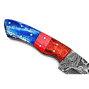 Smart & Sharp Custom Handmade Damascus Steel Hunting Knife/Skinning Knife AA-17301 (Red & Blue Wood)