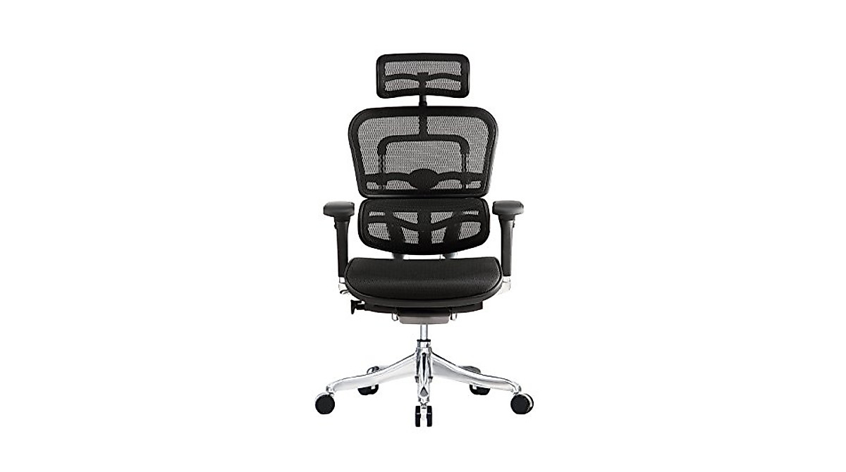 Shop Eurotech Ergo Elite High Back Chair - Comfort & Style