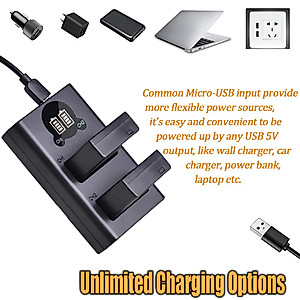 DMW-BLG10, Pickle Power 2 Pack 1280mAh Battery with LED Dual USB Charger for Panasonic Lumix DC-ZS80, DC-GX9, DC-LX100 II, DC-ZS200, DC-ZS70, DMC-GX80,GX85,DC-G100,DMC-ZS60 Cameras.