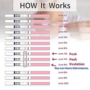 DAVID 50 Ovulation Test Strips, Ovulation Predictor kit, Fertility Test for Women, 50 Free Urine Cup, Fertility Tracker Kit, Accurate Results - 50 Count, LH Test, EXP 10-30-2023