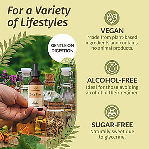 HERBAMAMA Cat's Claw Tincture - Vegan Cat's Claw Supplement for Immune Support - Immunity Drops with Cat's Claw Herb - Alcohol & Sugar-Free, 28-Day Supply