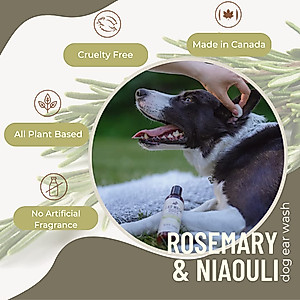 Natural Dog Ear Cleaner Solution - Dog Itchy Ears Treatment - Eliminates Odor & Waxy Buildup - Gentle Dog Ear Wash Formula - Made in Canda by Black Sheep Organics (4 fl oz)