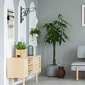 Vumdua Hanging Plants Bracket, 2 Pack 12 inch Wall Planter Hook with Iron Screws Included, Decorative Plant Hanger for Bird Feeders, Wind Chimes Indoor, Flower Pot, Lantern, Outdoor Indoor Patio Decor