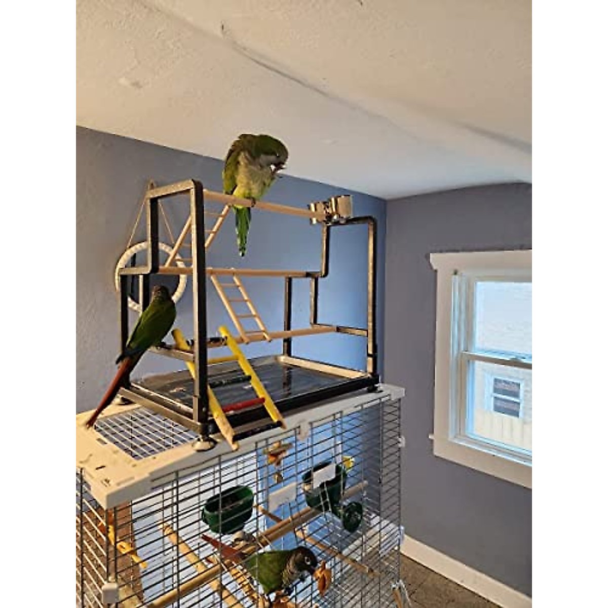 Bird Playground, Playstand for Small to Large Birds with Collapsible Metal Frame, Heavy Duty Quick-Install No Tool Request, 4 Standing Perch, 2 ladders and 2 Bird Cups