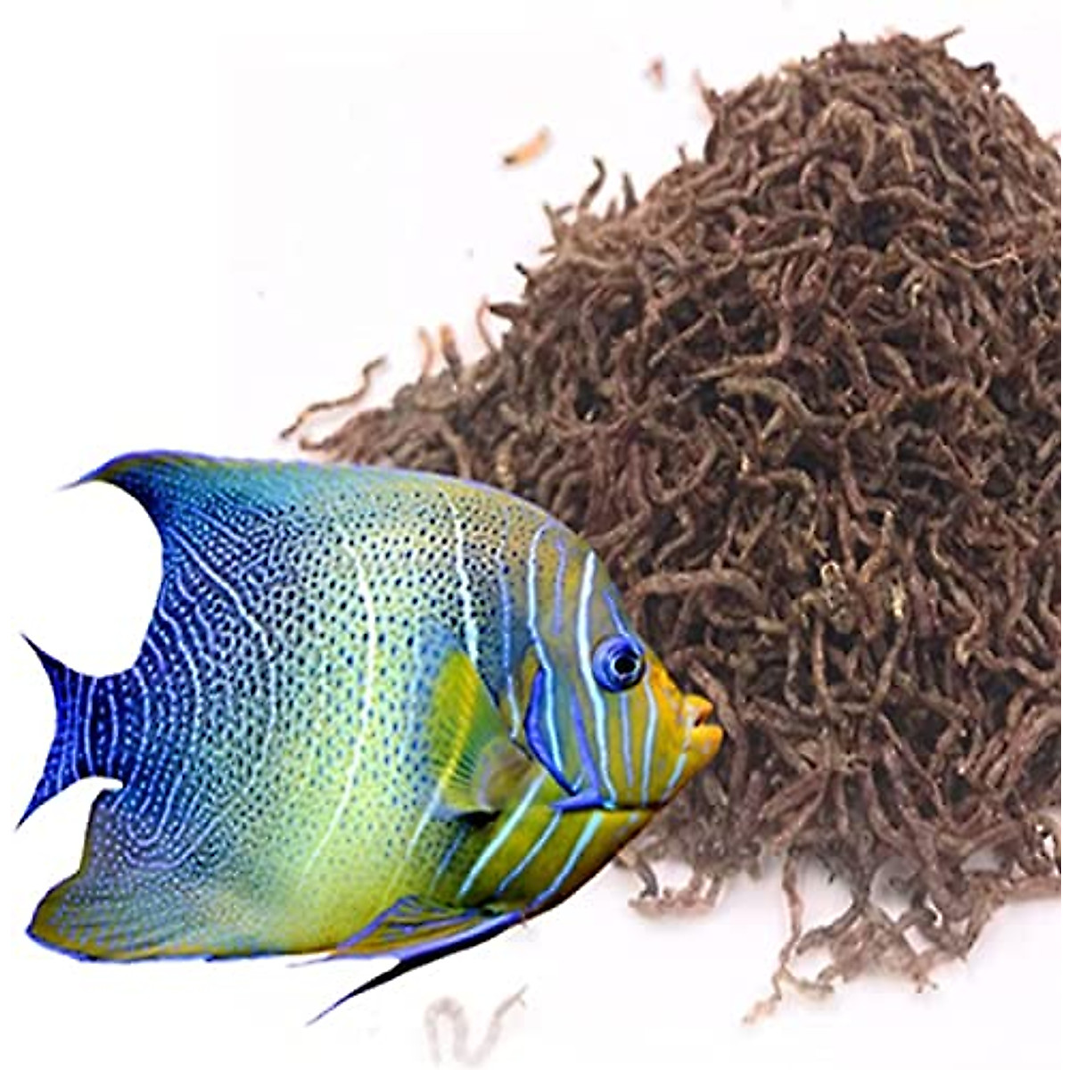 Aquatic Foods 5oz Bloodworms, Freeze Dried Fresh Grade A Floating Bloodworms for All Tropical Fish, Bettas, Discus, Cichlids, Community Turtles, Carnivore Carnivorous Plants. Bag