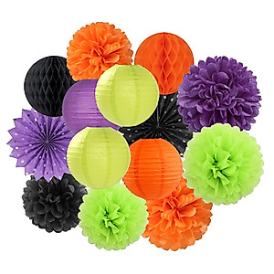 Black-Orange Purple Green Halloween Party-Decorations - 14pc Kit Paper Lanterns Fan,Tissue Flower Pom Poms Streamers,Honeycomb Balls,Birthday Supplie Wedding Baby Bridal Shower Decor Lasting Surprise