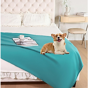 CAI TENG Fleece Throw Blankets Lightweight Warm Soft Cozy Pet-Friendly Bulk Fleece Throw Blanket Kids Solid for Home Bed, Sofa, Dorm, Office, Gifts, Outdoor Couch (Multicolor, Pack of 6-50 x 60 inch)