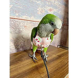 Bird Flight Harness Vest, Parrot Flight Suit for Cockatiels Conures Budgies, Bird Flying Clothes for Outdoor Activities Training