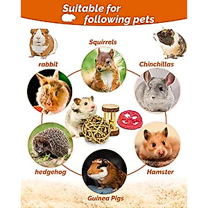 OVERTANG Hamster Toys, Guinea Pig Toys, 18 Pcs Wooden Hamster Toy Set Natural Apple Wood Small Animal Chew Molar Toys for Teeth for Rabbit, Chinchilla, Gerbils, Rats Exercise Accessories