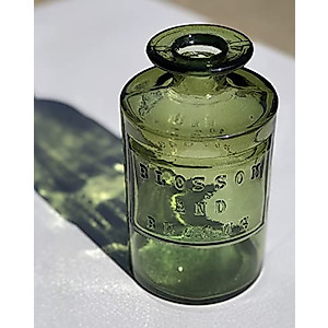 Time Concept Valencia 100% Recycled Glass Jar - Siete, Green - Handcrafted Flower Vase, Home Centerpiece Décor