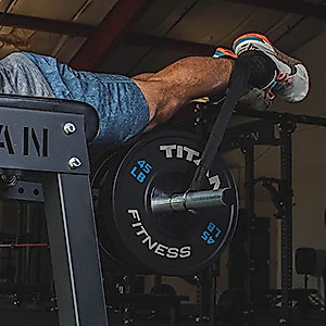 Titan Fitness H-PND, Reverse Hyperextensions Lower Body Machine, Rated 550 LB, Specialty Home Gym Machine for Physical Therapy, Back Rehab Exercises, and Everyday Training