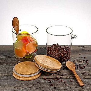 MOLFUJ 15Oz/450ML/1Lb Clear Glass Containers for Pantry with Wooden Spoon, Small Air Tight Food Storage Canister with Bamboo Airtight Lid, Hermetic Covered Kitchen Orgainzation Storage Jars with Scoop