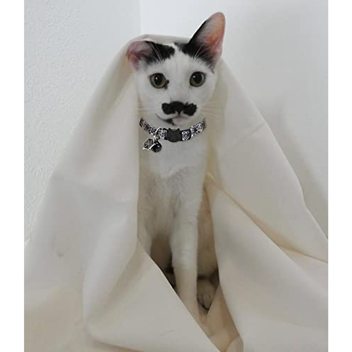 BoomBone Cat Collar Halloween Set of 2, Skull Cat Collar for Small Dogs, Holiday Kitten Collar with Bell