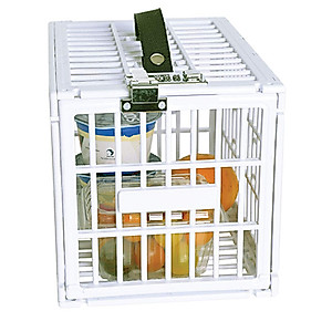 Food Snack Lock Box to Put Away Temptations - 12” x 7.5” x 7.25” Fridge Locker for Keeping Your Food, Snacks or Medicine - Small Lock Box Perfect for Home and Office Use