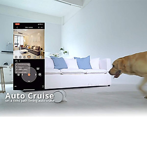 SKYMEE Owl Robot: Mobile Full HD Pet Camera with Treat Dispenser, Interactive Toy for Dogs and Cats, Remote Control via App (2.4G WiFi ONLY)