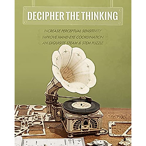 ROKR 3D Wooden Puzzles for Adults-Model Building Kit for Adults to Build-424Pcs DIY Wood Craft Kit-Room Decor for Men and Women