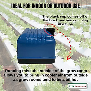 Blue Diamond Pumps V30 Aquarium Air Pump with 6 Outlet Manifold, Hydroponic Air Pump Aerator Will Oxygenate Your Fish Tank or Plant Life System, Designed to Run Several Air Stones from a Single Pump