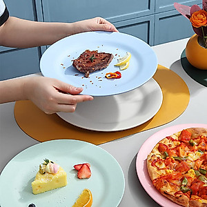 NA 10" 11" Dinner Plates Set of 10, Reusable Wheat Straw Dessert Dishes, Round Pasta Salad Serving Plate, Unbreakable Fiber Dinnerware for Party Steak Pizza (Pink)