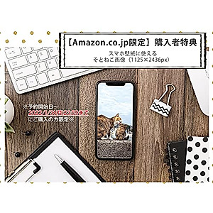 そとねこ (インプレスカレンダー2022)