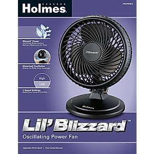 Holmes 8-Inch Fan | Lil’ Blizzard Oscillating Table Fan, Black