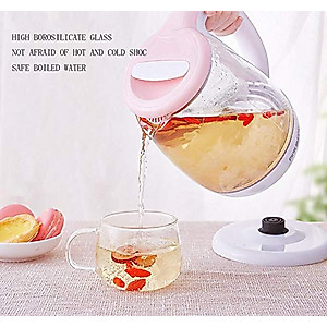 Electric Kettle, Multi-Function Teapot,Kettle, Temperature Control Kettle, Health Kettle, Automatic Thickened Glass Teapot Stainless Steel Heating Base Kettle (Color : B, Size : A)