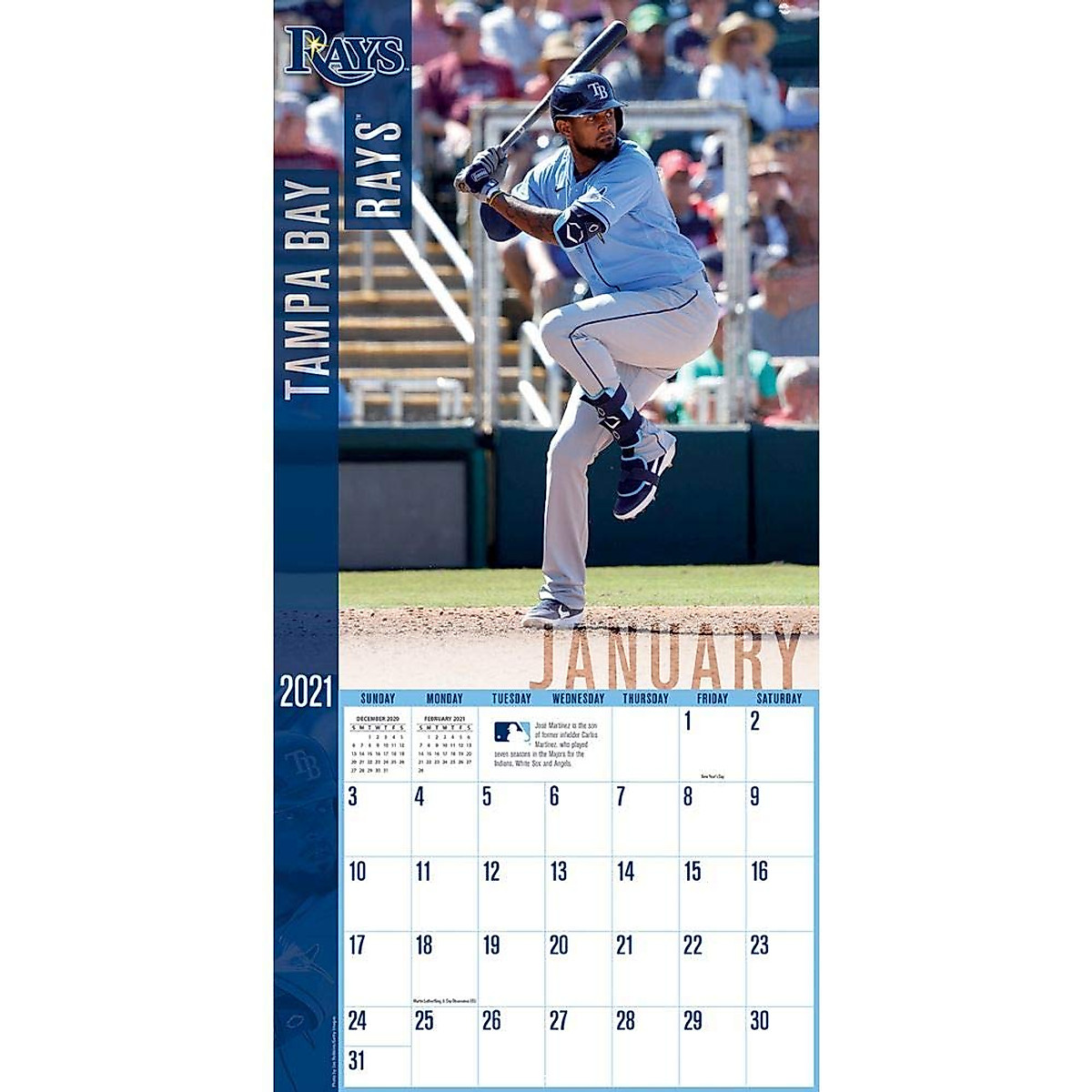 Tampa Bay Rays 2021 Calendar