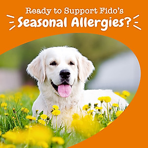 Zesty Paws Dog Allergy Relief - Anti Itch Supplement - Omega 3 Probiotics for Dogs - Digestive Health - Soft Chews for Skin & Seasonal Allergies - with Epicor Pets - Bison - 90ct