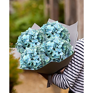 DILATATA 2 Pcs Faux Hydrangea Large Artificial Purple Hydrangea Flowers 26" Real Touch Hydrangea Flowers Lifelike Silk Hydrangea Stems for Wedding Party Garden Home Decor