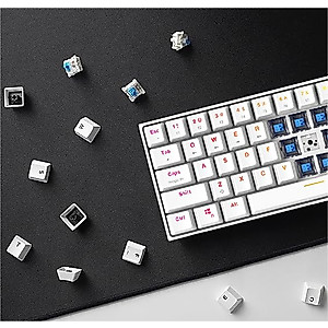 FANTECH MAXFIT61 RGB Wired 60% Mechanical Keyboard, 61 Keys Hot Swappable Type-C Programmable Gaming Keyboard, Outemu Blue Switch, White