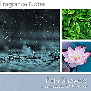 Colonial Candle Rain Showers Aromatherapy Scented Jar Candle, Wellness Collection, 16 oz, White