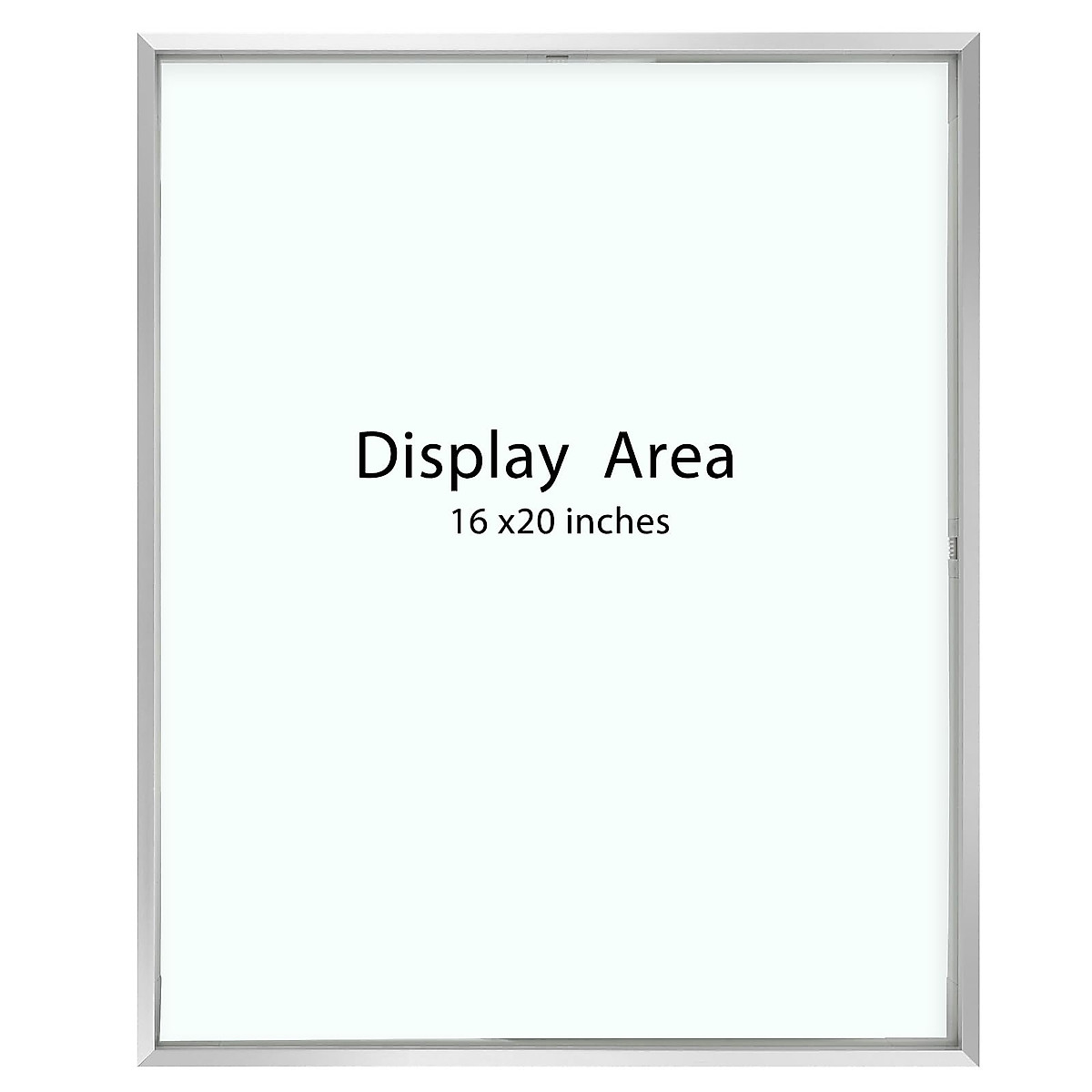 Golden State Art, 16x20 Floating Frame, Silver Aluminum Picture Frame, Clear Glass Displays Any Size Photo Up to 16x20, for Wall or Table Top Decoration