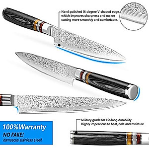 Utility Chef Knife 6 Inch Chef knife Japanese Damascus Utility Kitchen Knife Japanese Paring Knife Damascus Steel High Carbon 67-Layer Ultra Sharp Kitchen Meat Cutting Gyuto Chef Knife [Gift Box]