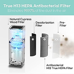 IMUNSEN M-001W Air Purifier with Cypress Wood Filter, H13 True HEPA Filter, 100% Ozone Free, Cyclone Mode, Auto Sleep Mode, Made in Korea - White