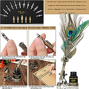 AIYNC Quill Pen and Ink Set, Feather Pen Ink Set, Wax Seal Stamp Kit, Calligraphy Set, Valentine's Day Gifts for Writing Lovers Birthday Gifts, Ideal Calligraphy Gifts for Holidays(Peacock Feather)
