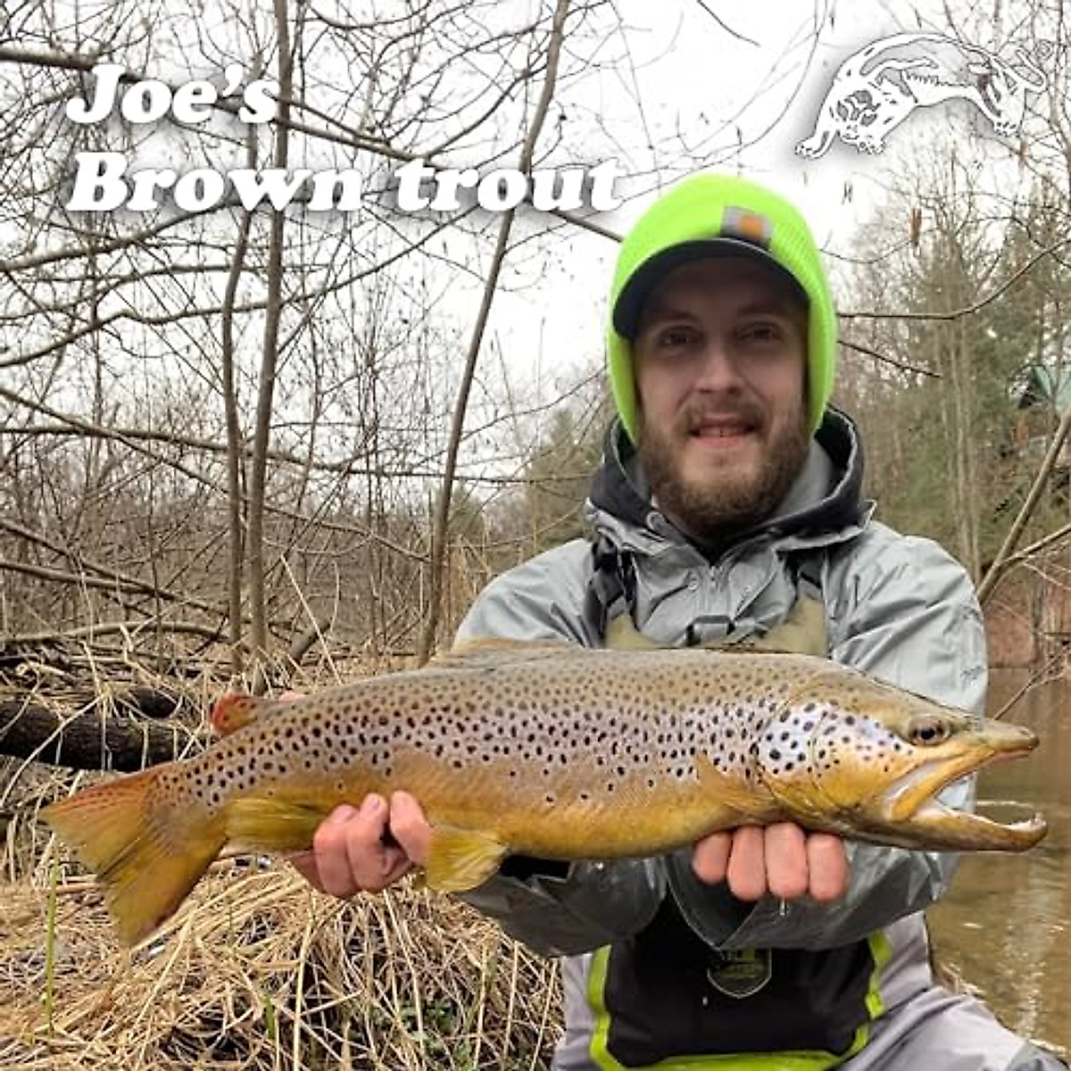 Panther Martin BW6 Best of The West Spinners Fishing Lure Kit - Assorted - Pack of 6