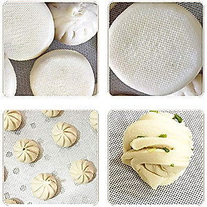 LadayPoa 10Pcs 12 inch Reusable Round Silicone Steamer Liners Non-stick Silicone Steamer Mesh Mat Pad Dim Sum Mesh for Home Kitchen or Restaurant