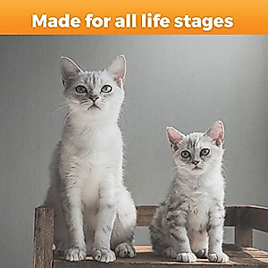 VETRISCIENCE Glycoflex 3 Maximum Strength Hip and Joint Supplement with Glucosamine for Cats - DMG, MSM & Green Lipped Mussel