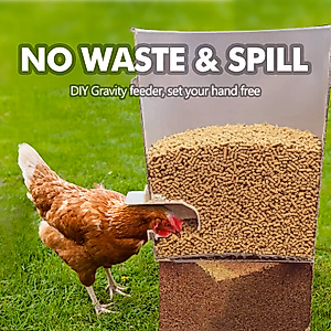 6 Pack DIY Chicken Feeder Kit, No Waste Poultry Feeder Port Gravity Feed Kit for Buckets, Barrels, Bins | Rian Proof (6 Feeder Ports with Hole Saw)