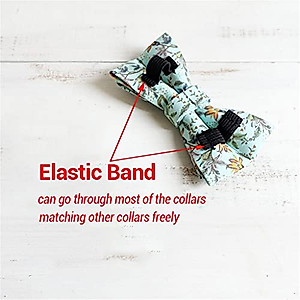 FLOYINM Personalized ID Dog Collar and Leash Set Turquoise Designer Pet Collar with Bow Quick Release Adjustable Dog Collar Walking Lead (Color : C, Size : L)