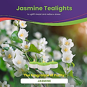 Jasmine Candle Scented Candles Tea Lights Candles - Jasmine Candle - 30 Pack - Jasmine Candle Tea Lights with 3-4 Hour Burn Time Tea Candles - Jasmine Scented Candle for Home, Holiday and Wedding