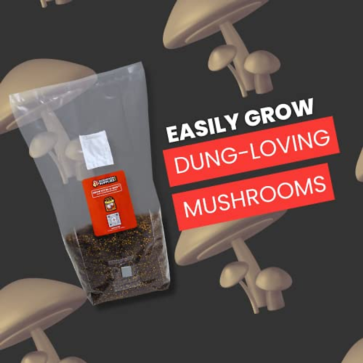 MushroomSupplies.com All in ONE Mushroom Grow Kit in-a-Bag (3 LBS) | Mushroom Grow Bag with Sterilized Grain and Substrate | Easy Grow Your Own Mushrooms