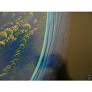 Eyvind Earle Blue Pine Original Ltd Ed Signed