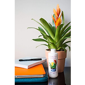 Bromeliad Fertilizer Liquid Plant Food for Bromeliads | Cryptanthus, Guzmania, Neoregelia Aechmea and Tillandsia Air, Aquatic Arts