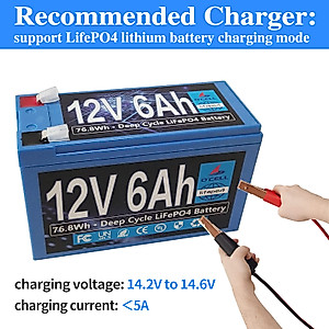 OCELL 12V 6Ah Lithium Iron Phosphate Battery, Rechargeable LiFePo4 Battery with 10 Years Lifetime, Low Self-Discharge for Kid Scooters, Security Alarm, Power Wheel, Fish Finder, Emergency Lighting