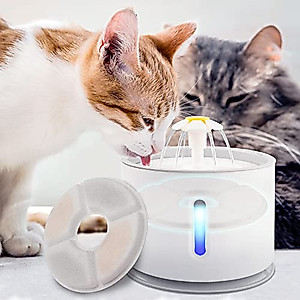 Noodoky 10-Pack Replacement Filters for Cat Fountain | Pet Water Fountain Filter | Activated Carbon Filter | Not for Catit