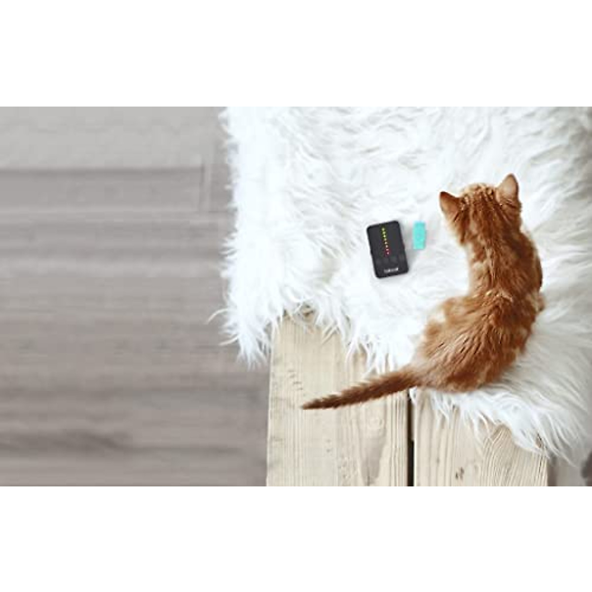TabCat Cat Tracker – Accurate & No Subscription Required